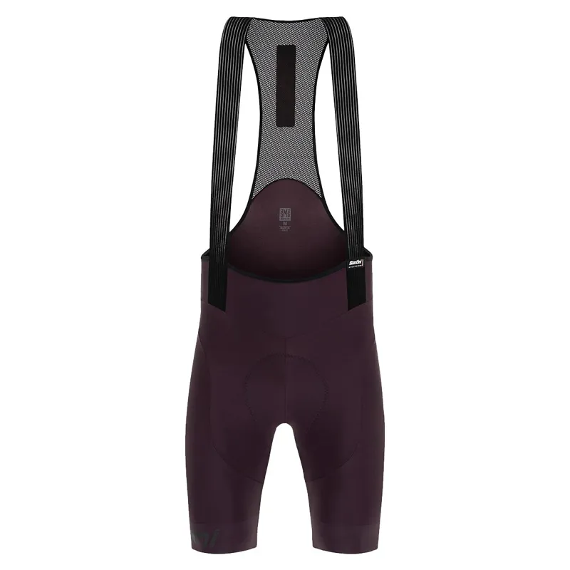 Santini Tono Puro Mens Bibshorts in Purple