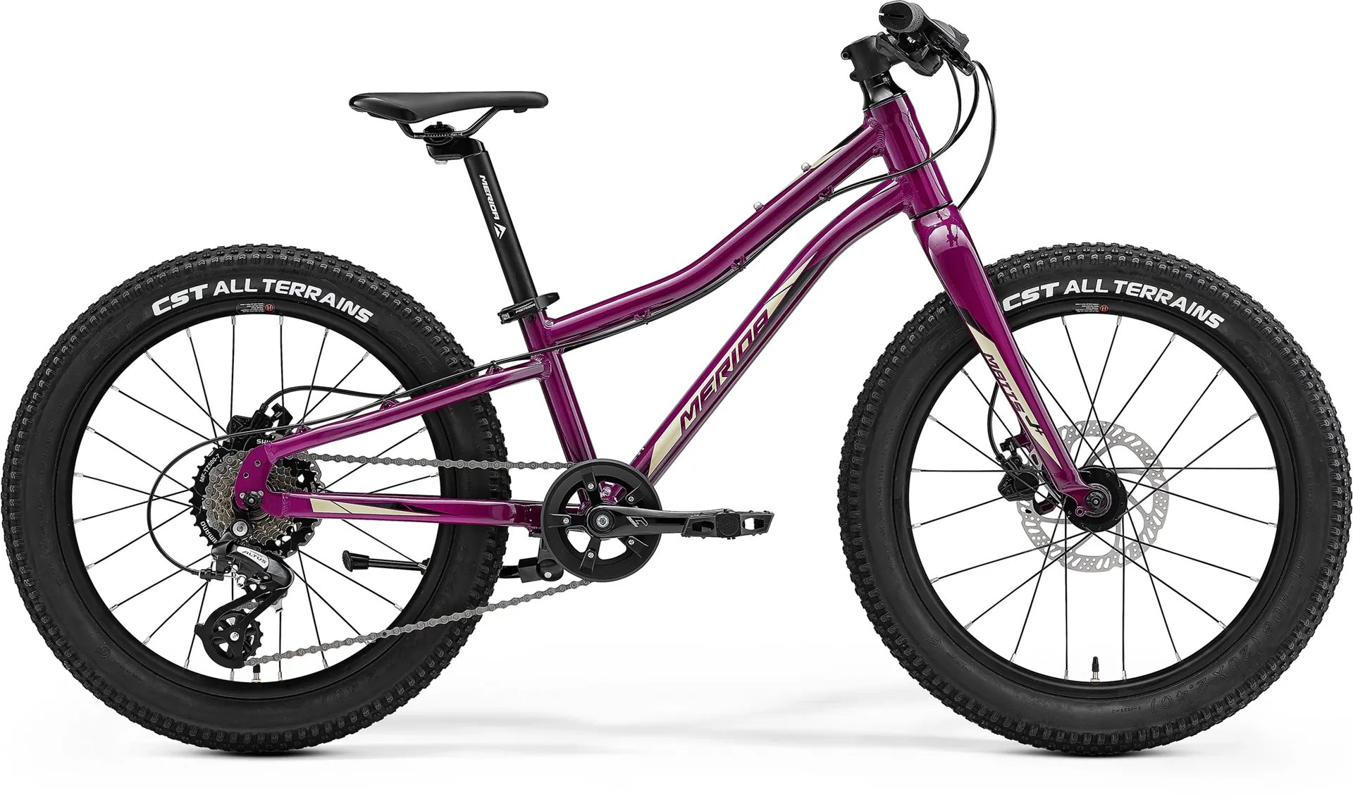 2022 Merida Kid's Matts J.20+MY22 Bike in Purple
